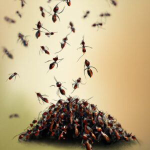Can Ants Jump? Uncovering the Unbelievable Truth – bugpursuits.com