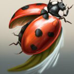Can Ladybugs Be Different Colors? Here’s What You Need to Know ...