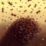 Do Ants Have Teeth? Here’s What You Need To Know – bugpursuits.com