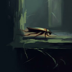 What Is The Difference Between A Cockroach And A Butterfly ...