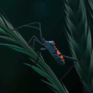 Do Assassin Bugs Eat Spiders? (What You Should Know) – bugpursuits.com