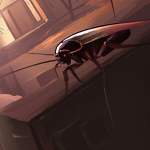 Do Hissing Cockroaches Need a Friend? (The Answer May Surprise You ...