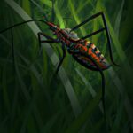 How Painful is an Assassin Bug Bite? (Understanding the Risks ...