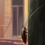 Is Cockroach Blood White? Here’s What You Need To Know – bugpursuits.com