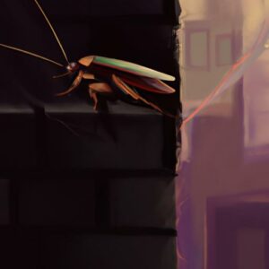 What Does Cockroach Urine Look Like? Uncovering the Truth ...