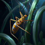 What is an Assassin Bug? (A Guide To Identification) – bugpursuits.com