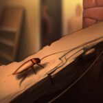 Why Does a Cockroach Have Mosaic Vision? Here’s What You Need To Know ...