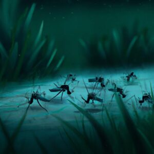Does Mosquitoes Get Attracted to Blue Light? (All the Facts ...