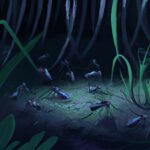 How Many Mosquitoes Are There in the World? (Surprising Facts ...