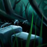 Why Are Mosquitoes Attracted To Blue Colour? (A Detailed Look ...
