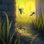 Why Mosquitoes Are Active at Night? (An In-Depth Look) – bugpursuits.com